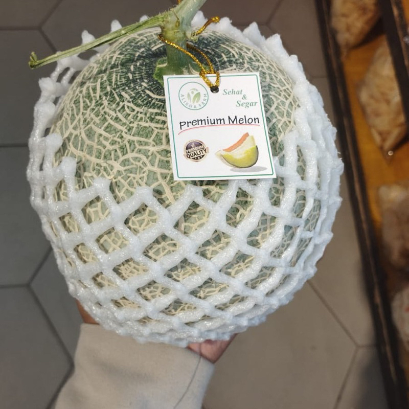 Jual Melon jepang sagami| buah melon bibit jepang manis sagami pcs ...
