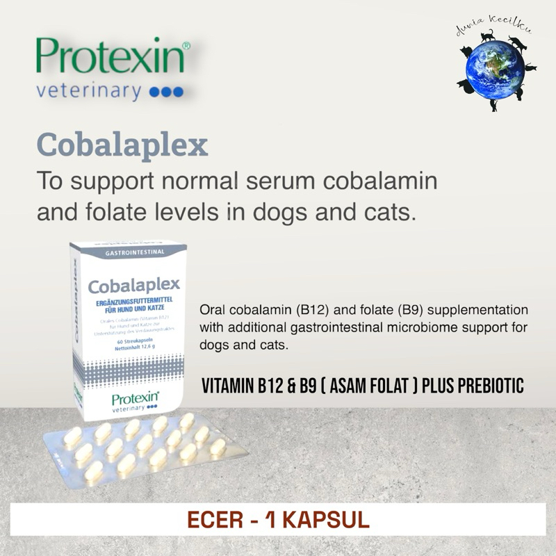Jual Protexin COBALAPLEX Plus Prebiotic Cat Dog - Vitamin B12 & B9 Asam ...
