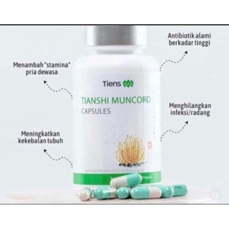 Jual KAPSUL MONCORD TIENS ORIGINAL | Shopee Indonesia