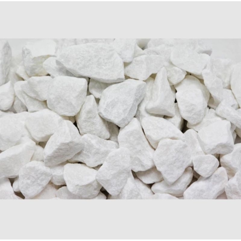 Jual Batu Kapur/Tepung Batu Kapur 500 gr | Shopee Indonesia