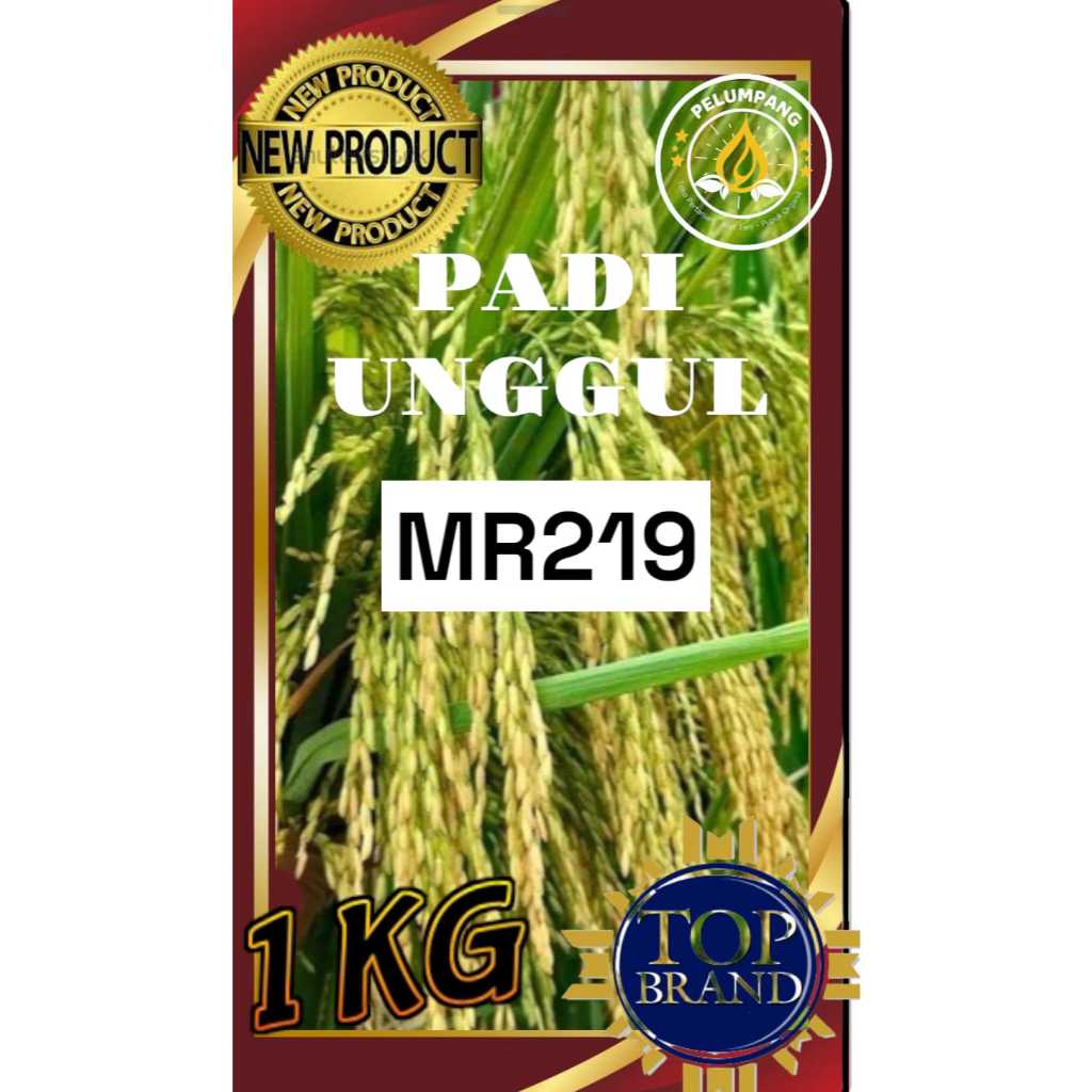 Jual PADI DAN BENIH PROMO Benih padi Mr 219 KEMASAN 1 KG | Shopee Indonesia