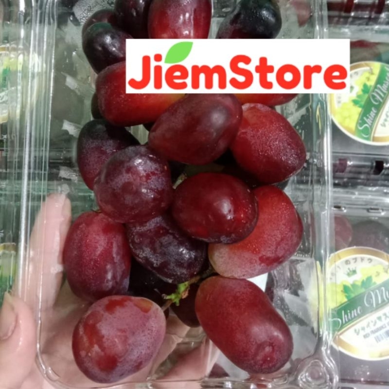 Jual Red Shine Muscat Buah Anggur Seedless Fresh Fruit Buah Segar ...