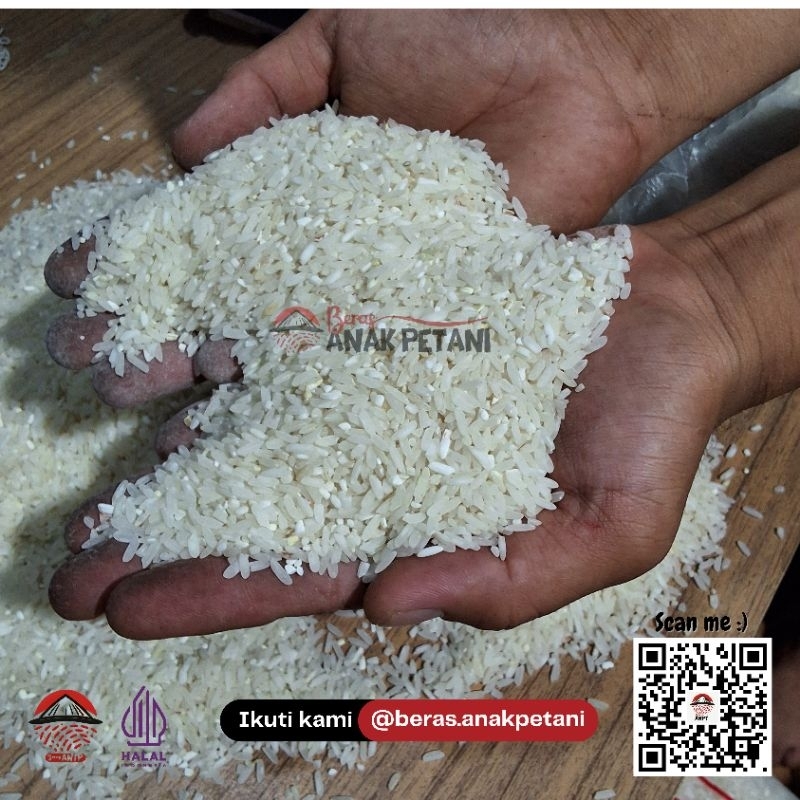 Jual Beras Per Kg Harga Terlengkap & Harga Terbaru Juni 2026 | Shopee ...