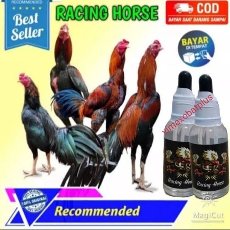 Jual DOPING AYAM ADUAN RACING HORSE KING TERBAIK PARA SULTAN AUTO WIN ...