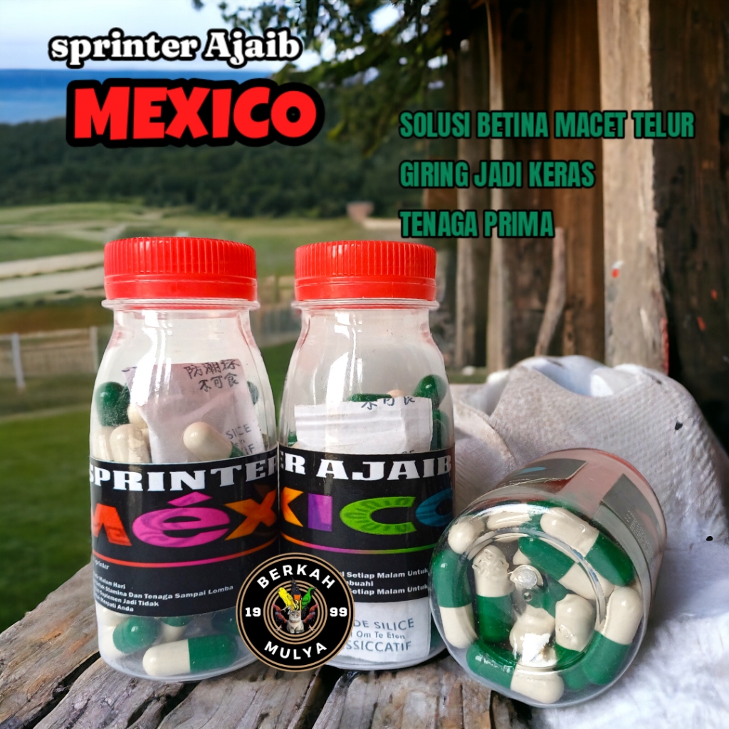 Jual sprinter ajaib mexico isi 50 butir jamu merpati mexico bird farm ...
