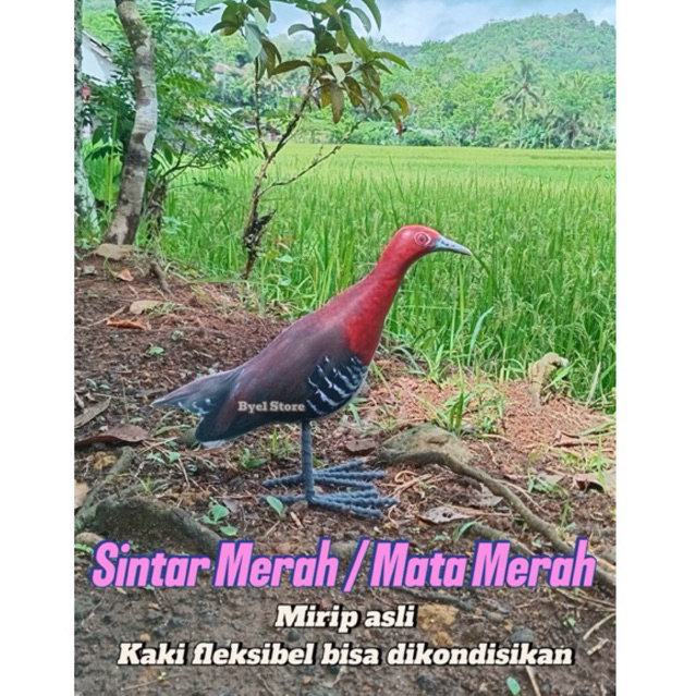 Jual Patung Burung Sintar Merah / Mata Merah | Shopee Indonesia