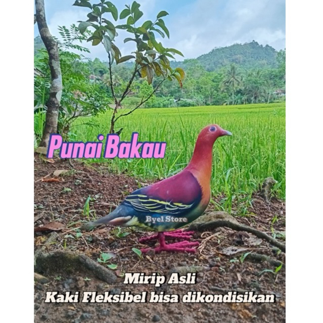Jual Patung Burung Punai Bakau | Shopee Indonesia