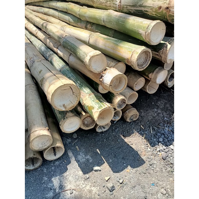 Jual BAMBU | PRING ORI | BULAT UKURAN 50 CM, 100CM, 150CM, 200CM, 250CM ...