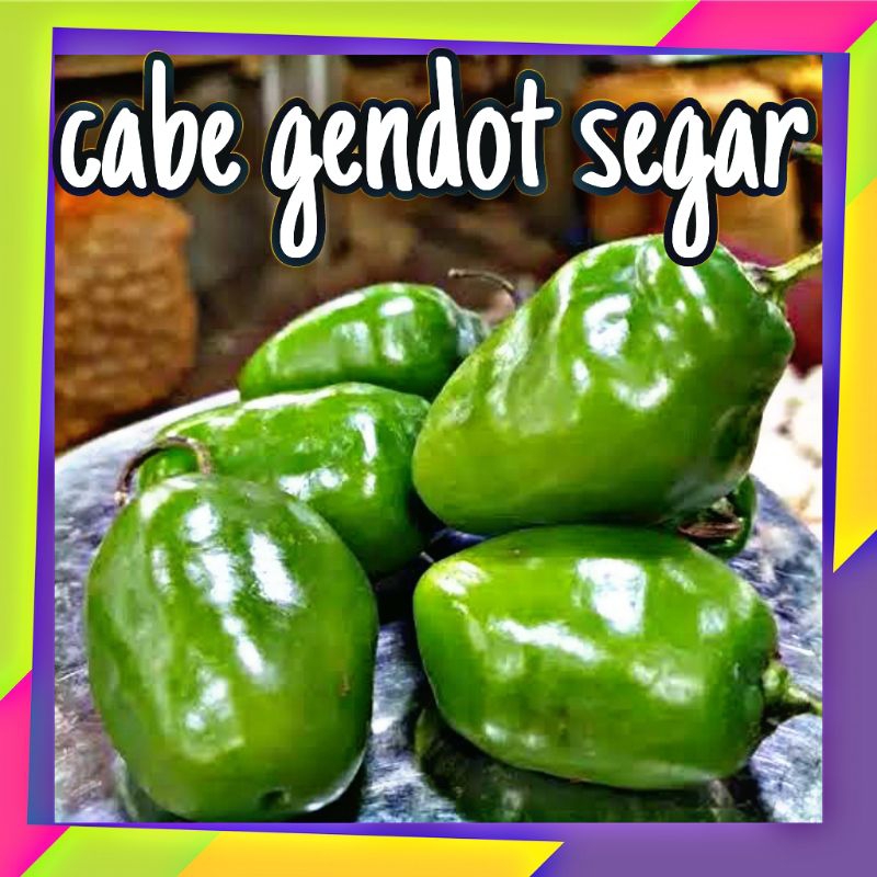 Jual CABE GENDOT 1kg ASLI DIENG | Shopee Indonesia