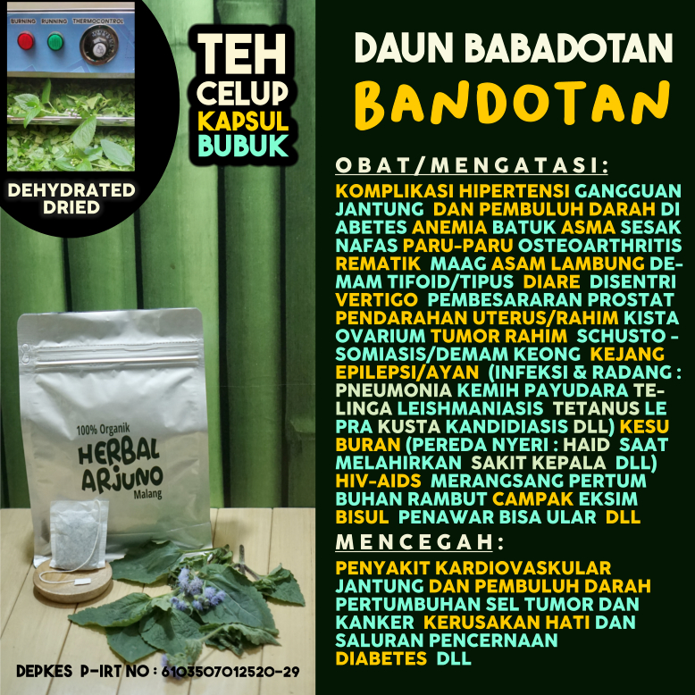 Jual Dehydrated Dried Teh Celup Kapsul Bubuk Daun Bandotan Babadotan ...