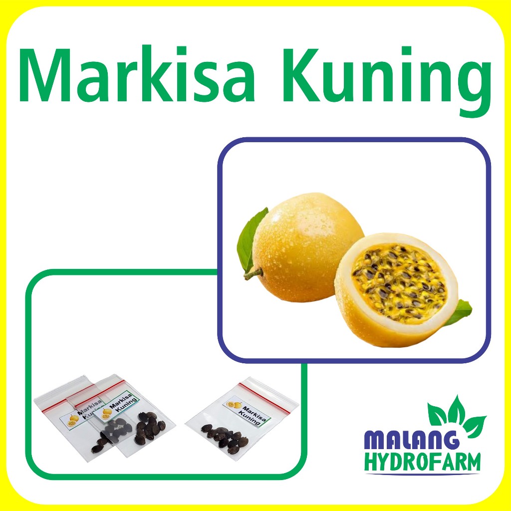 Jual Benih Markisa Kuning Unggulan Berkualitas biji bibit repack ...