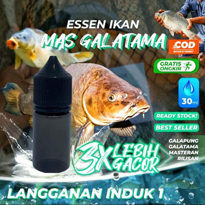 Jual Essen Ikan Mas Babon Galatama Paling Gacor Ampuh Juara Galapung Siap Langganan Induk ...