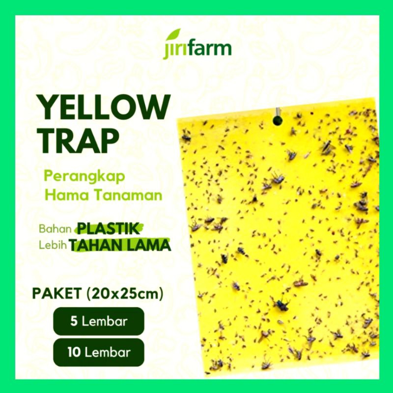 Jual ( isi 10 ) yellow trap perangkap perekat jebakan serangga lalat ...