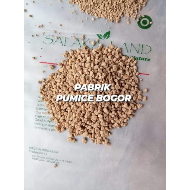 Jual Pumice mix Akadam Media Tanam Kaktus Sukulen | Shopee Indonesia