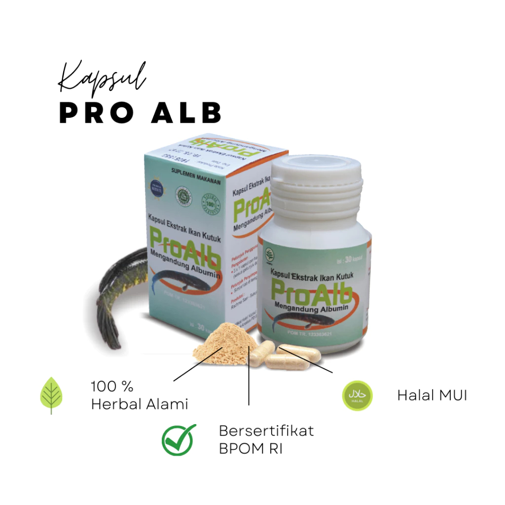 Jual Kapsul Ikan Kutuk Pro Alb Kapsul Kutuk Premium Asli 100% Original ...