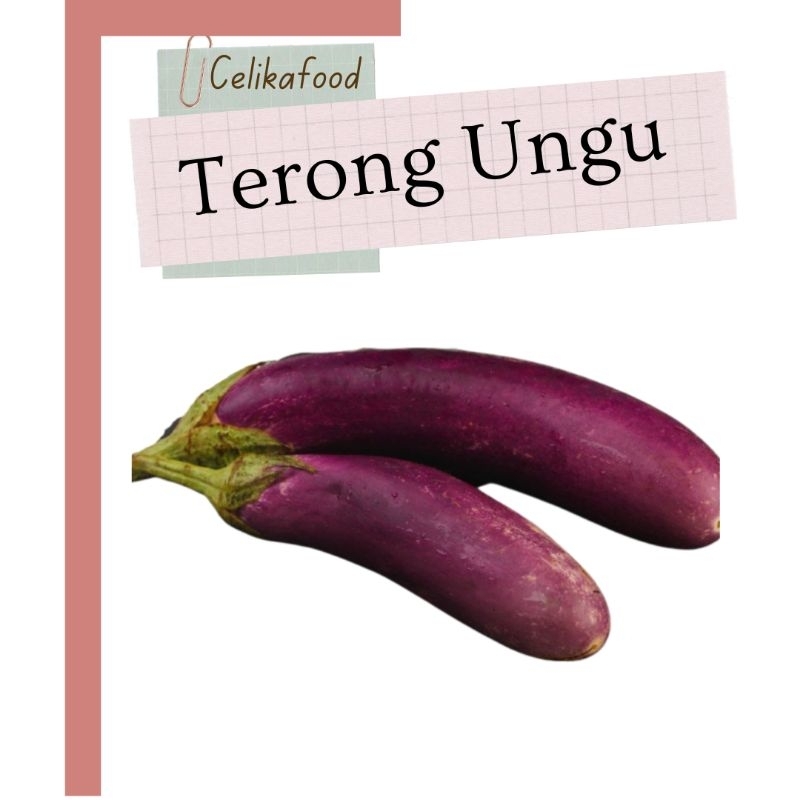 Jual Terong Ungu 250 gr Sayur Terung Fresh Eggplant Vegetable | Shopee ...