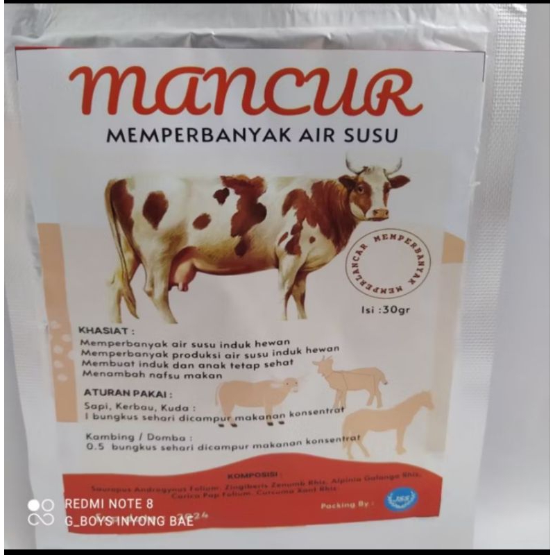 Jual Bancar susu sapi MANCUR 30gr meningkatkan air susu sapi/kerbau ...