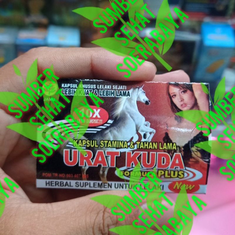 Jual urat kuda amplop grade A | Shopee Indonesia