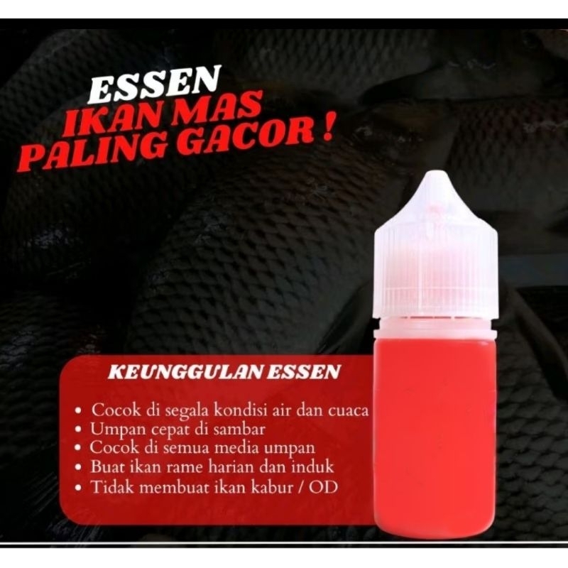 Jual Essen Oplosan Cocok Untuk Lomba Ikan Mas Atau Galapung Ikan Mas ...