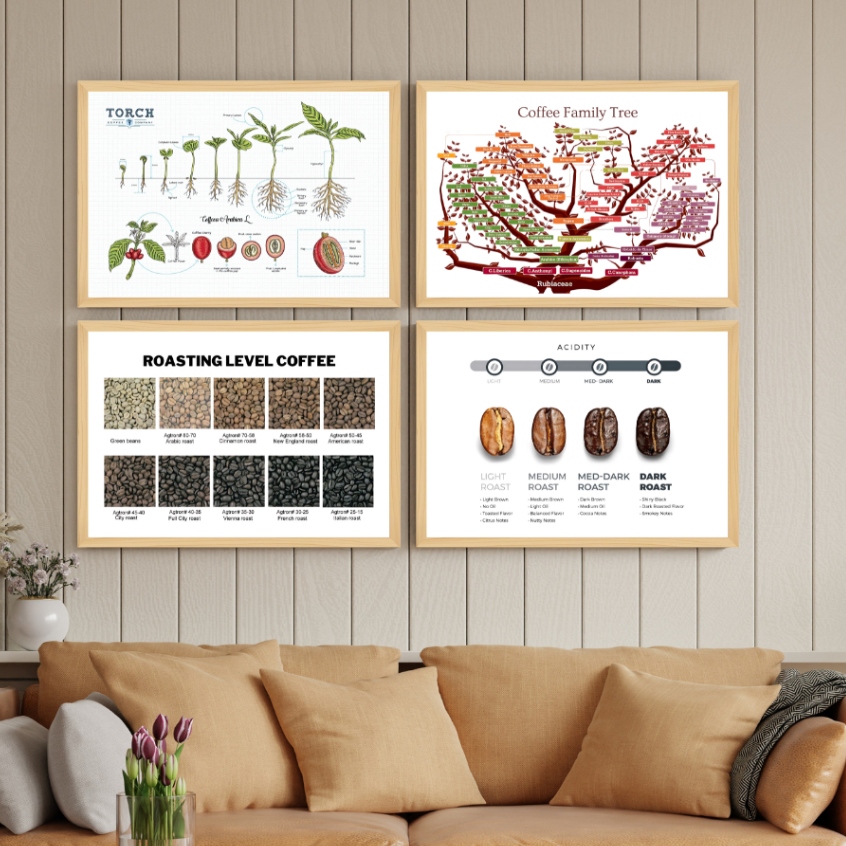 Jual HIASAN DINDING COFFEE SHOP ROASTING DEFECT KOPI CUPPING POSTER A3 ...