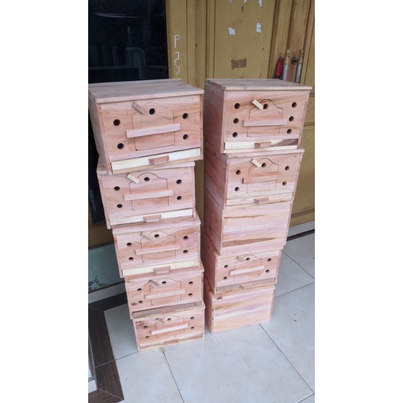 Jual PAGUPON BURUNG MERPATI BURUNG MERPATI TERNAK BURUNG PAGUPON BURUNG ...