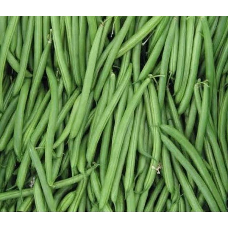 Jual Jual aneka jenis Sayur Buncis segar ( lokal / baby Buncis / baby ...