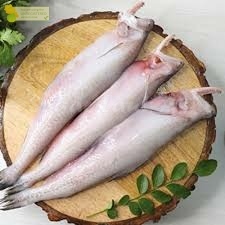 Jual Ikan Laut Konsumsi Ikan Segar 1Kg Ikan Lomek Ikan Lume Ikan Lumi ...