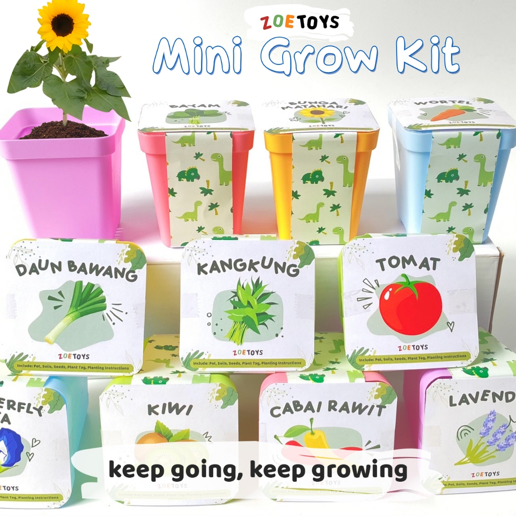 Jual Zoetoys Mini Grow Kit 2 | Pot Warna Warni Berkebun Gardening ...