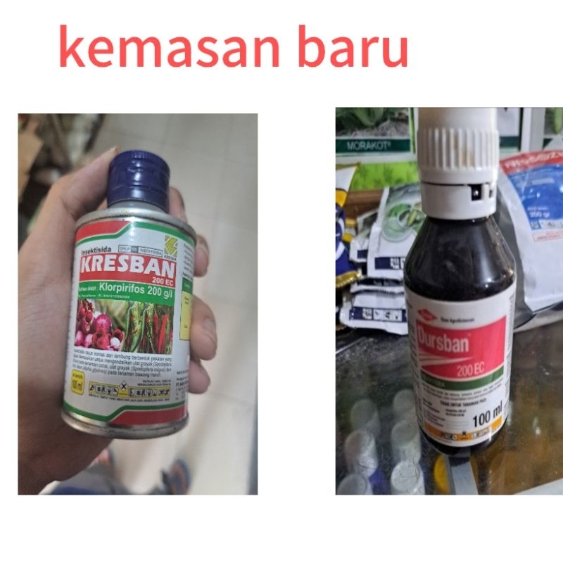 Jual (Kemasan Baru) Obat Dursban 200EC 100ml insektisida pembasmi hama ...