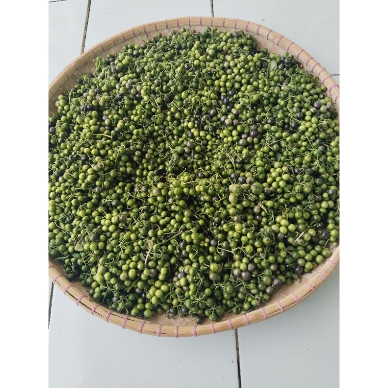 Jual leunca sayur 250 grm | Shopee Indonesia