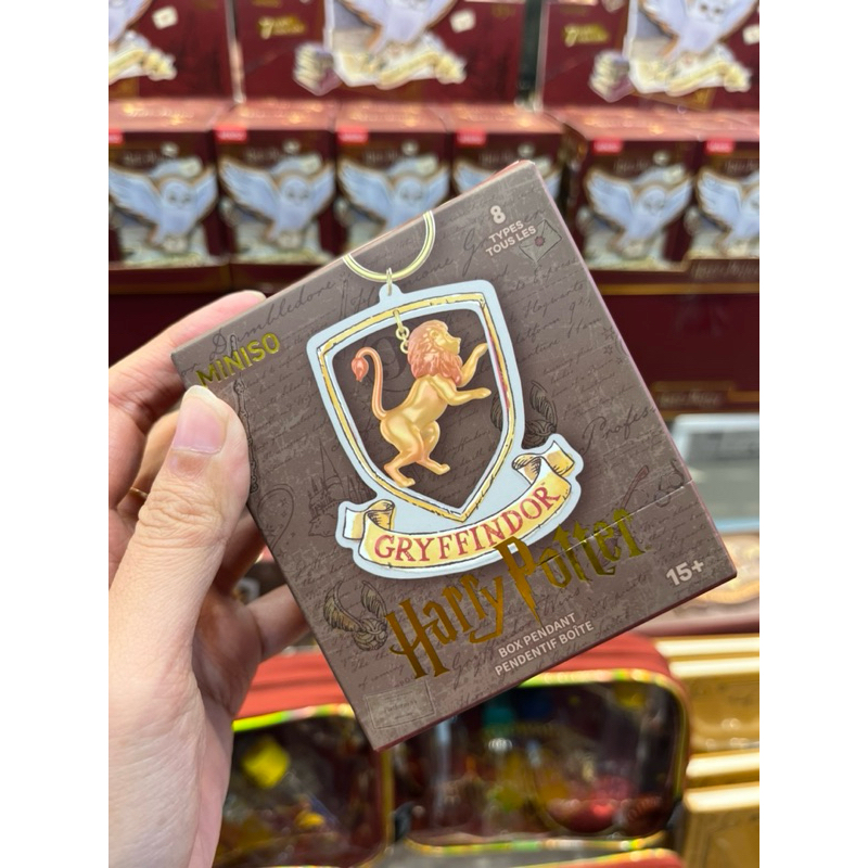 Jual Miniso X Harry Potter Blind Box Keychain | Shopee Indonesia