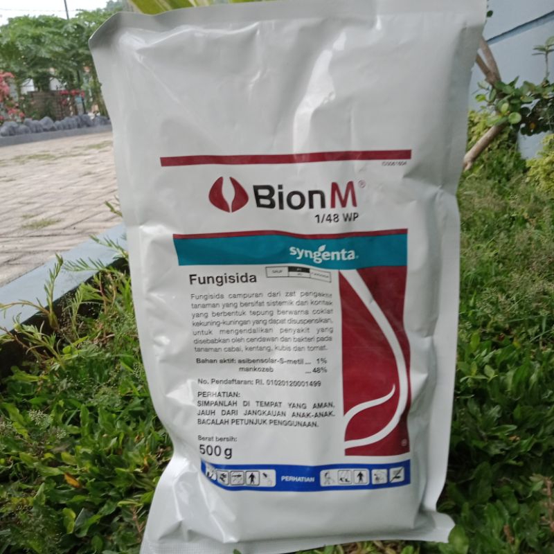Jual Bion M 1/48 WP 500gram - Fungisida | Shopee Indonesia