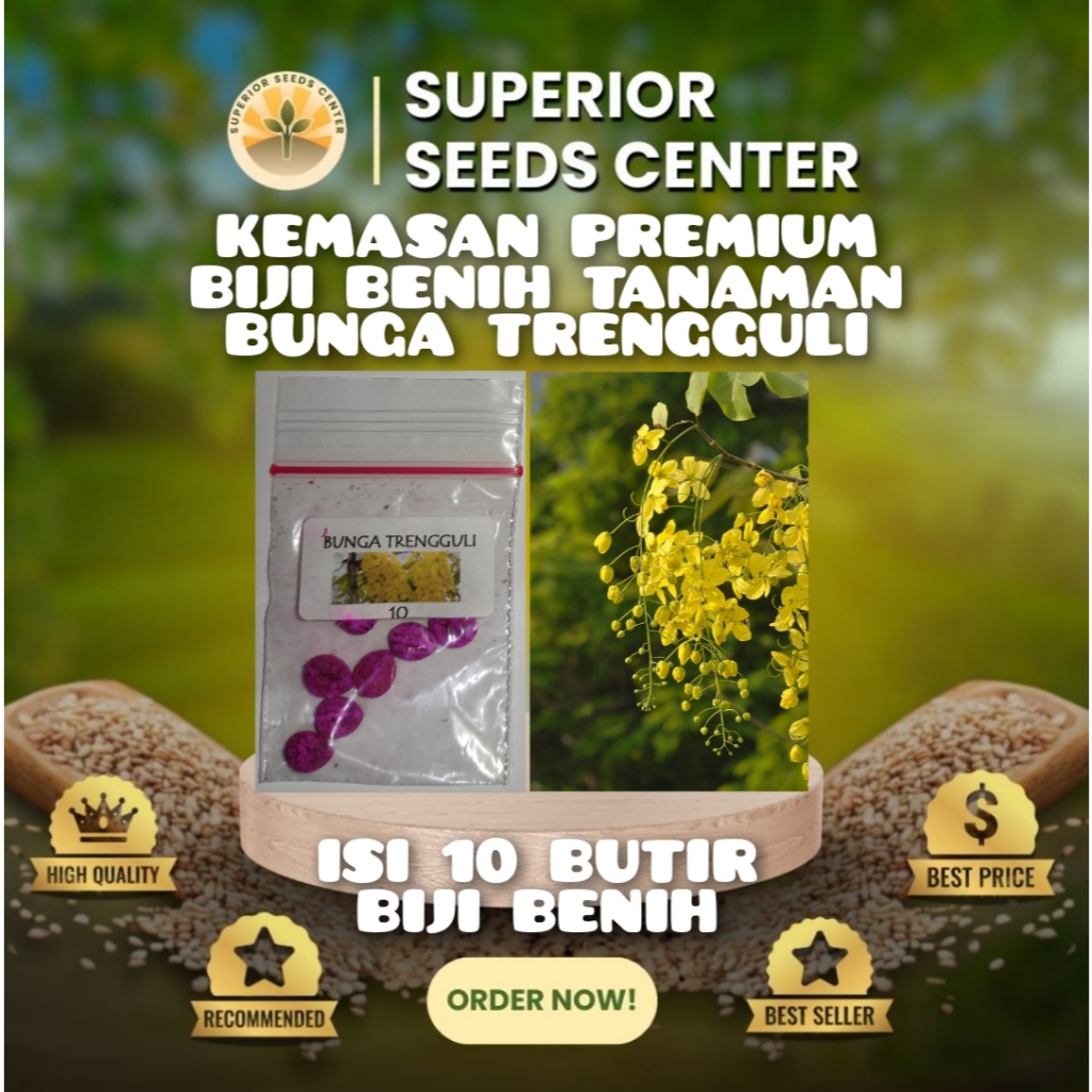 Jual 10 Butir Biji Benih Tanaman Bunga Trengguli | Hujan Emas (Kemasan ...