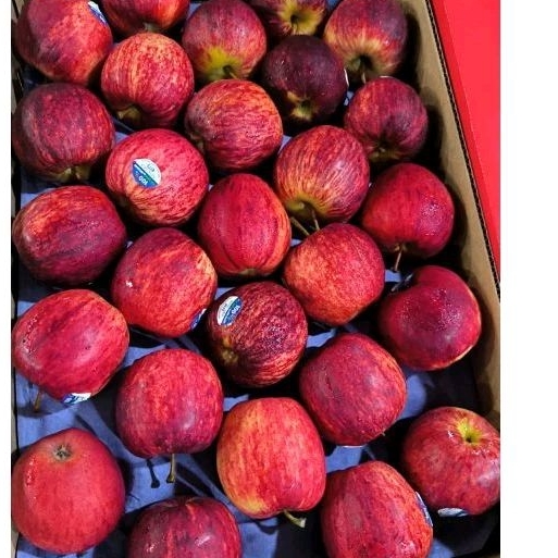 Jual Apel merah (1 kg) | Shopee Indonesia