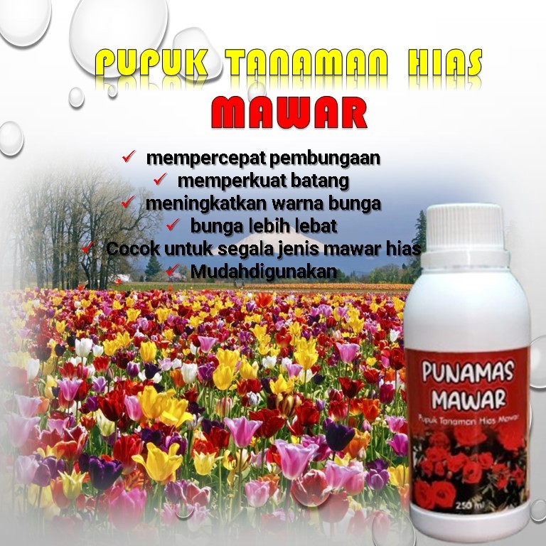 Jual PUPUK MAWAR / PUPUK MAWAR BERBUNGA LEBAT /PUPUK MAWAR CAIR / PUPUK ...
