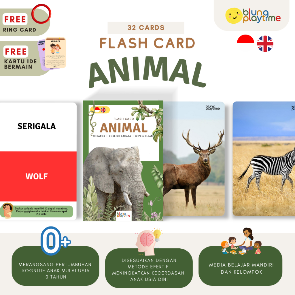 Jual Flash Card - ANIMAL - Media Belajar Edukatif Bayi & Anak - Wipe ...