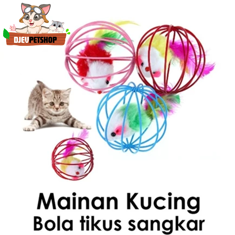 Jual MAINAN TIKUS JERUJI MAINAN BOLA KUCING JERUJI TIKUS LUCU | Shopee ...