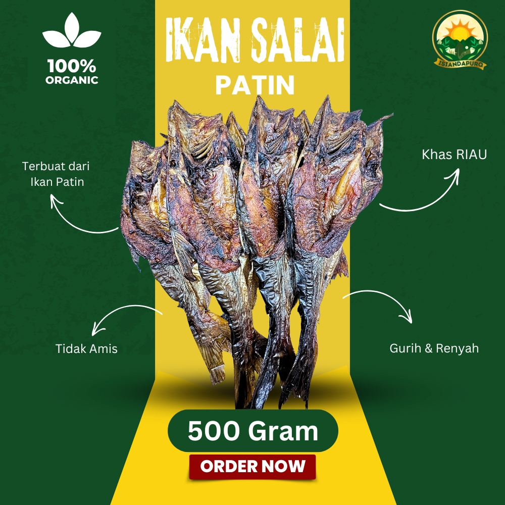 Jual Ikan Salai Ikan Asap Patin 500 Gram Khas Riau Ikan Kering Ikan ...