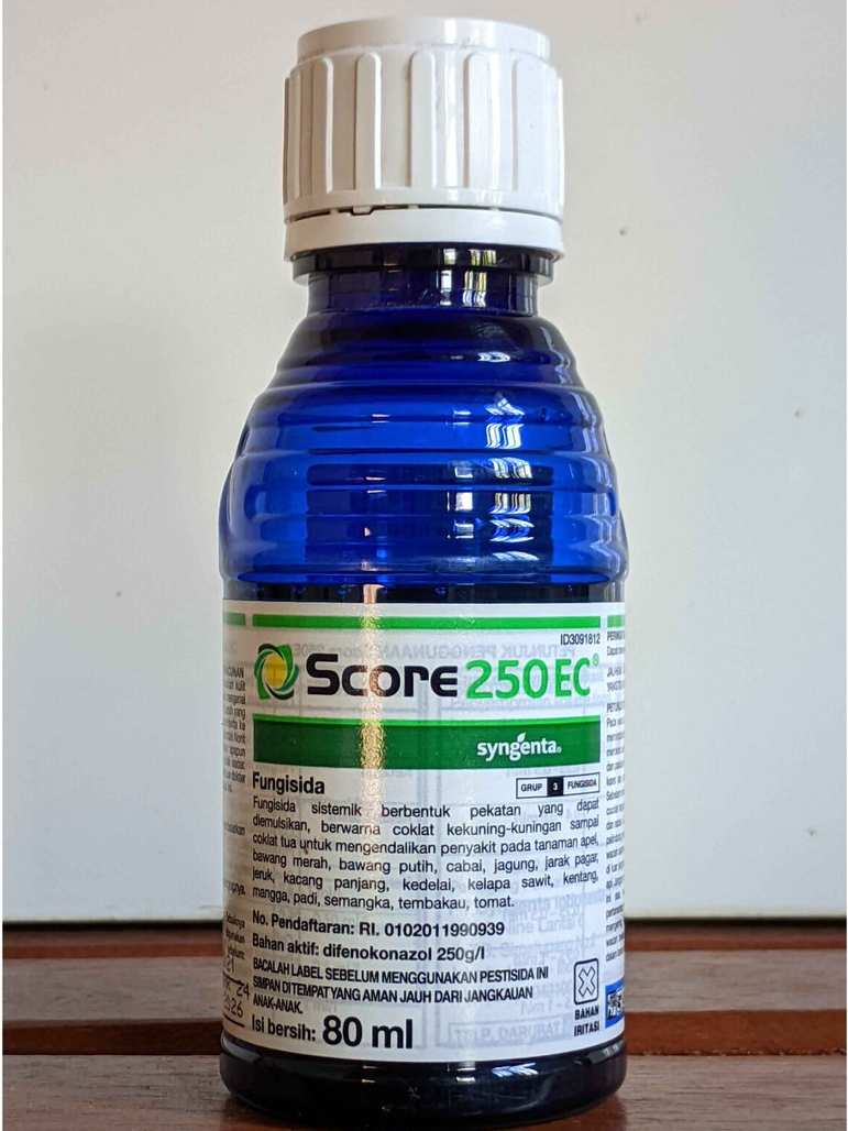 Jual SCORE 250 EC FUNGISIDA 80ML | Shopee Indonesia