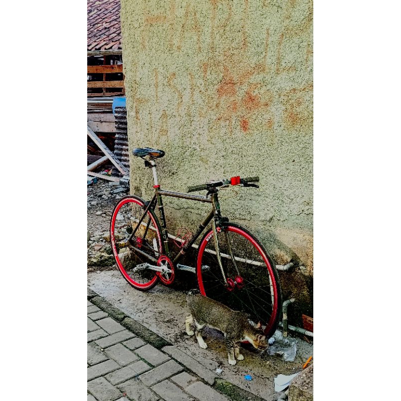 Jual frameset Fixie MASI SPECIALE | Shopee Indonesia