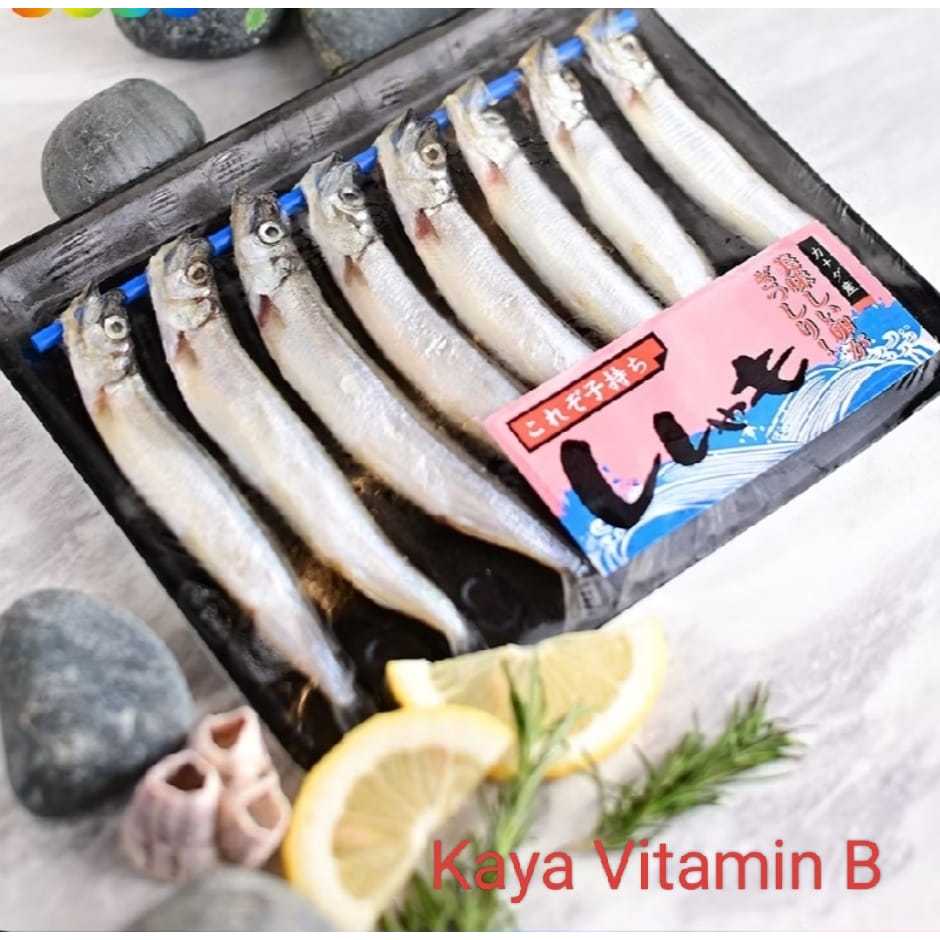 Jual Ikan Shisamo Telur Premium Shisamo Fish Import Capelin Frozen 8 ...