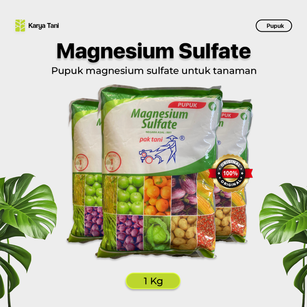 Jual PUPUK MAGNESIUM SULFATE KEMASAN REPACK 1 KG PAK TANI | Shopee Indonesia