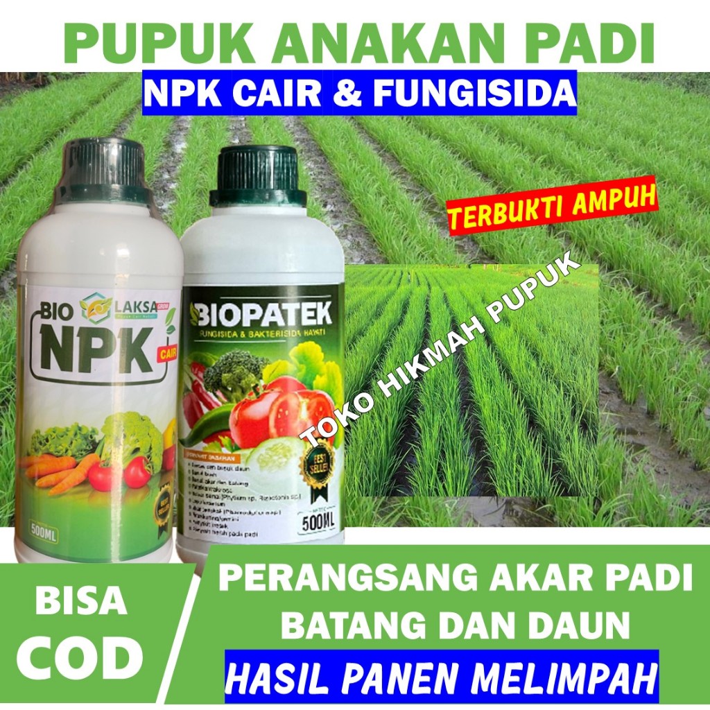 Jual BIOPATEK & PUPUK NPK LAKSA PELEBAT ANAKAN PADI PALING BAGUS - PUPUK PADI HINGGA PANEN ...