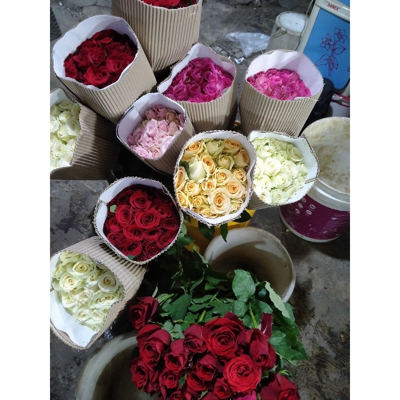 Jual Buket Bunga Mawar 1 Tangkai Mawar Segar/Buket Wisuda Bogor ...