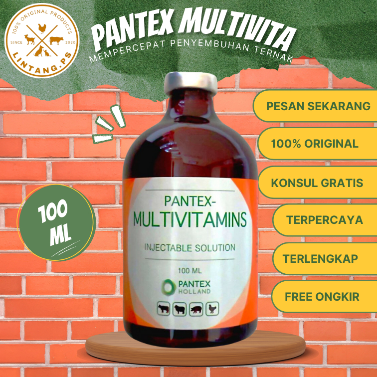 Jual Pantex Multivitamin 100ml - Injeksi Multivitamin - pantex | Shopee ...