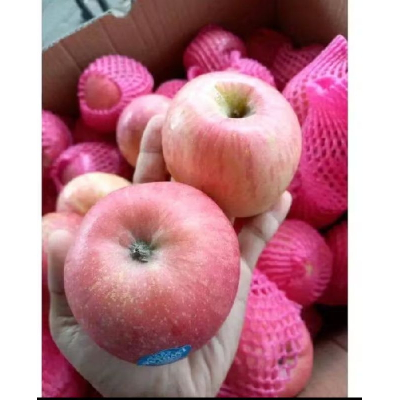Jual Apel Fuji manis 1 kg | Shopee Indonesia