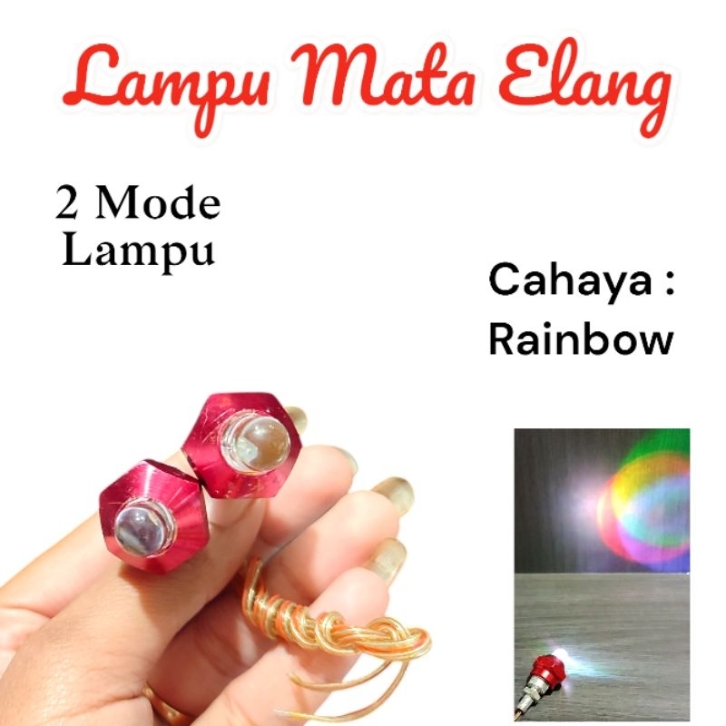 Jual BAUT PLAT NOMOR PLUS TAMBAH LAMPU LED RGB RAINBOW | Shopee Indonesia