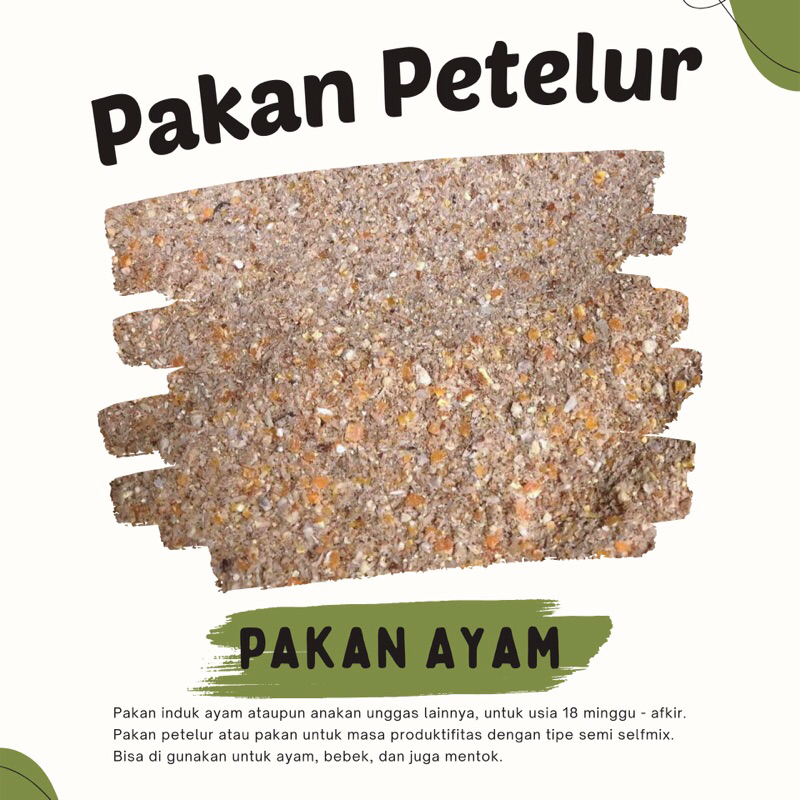 Jual Pakan Layer | Pakan Ayam Petelur | Pakan Bebek Petelur | Pakan ...