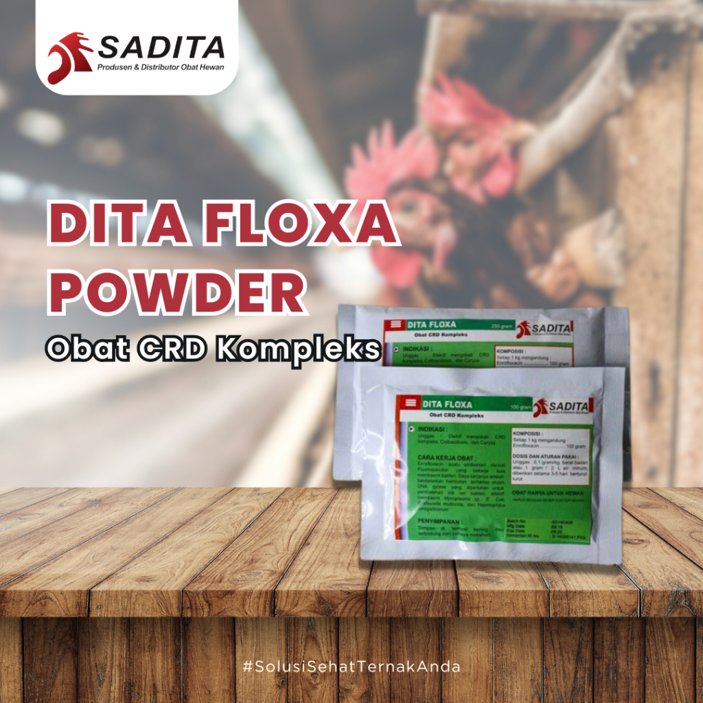 Jual Dita Floxa Powder 250 gram - Obat CRD Kompleks | Shopee Indonesia
