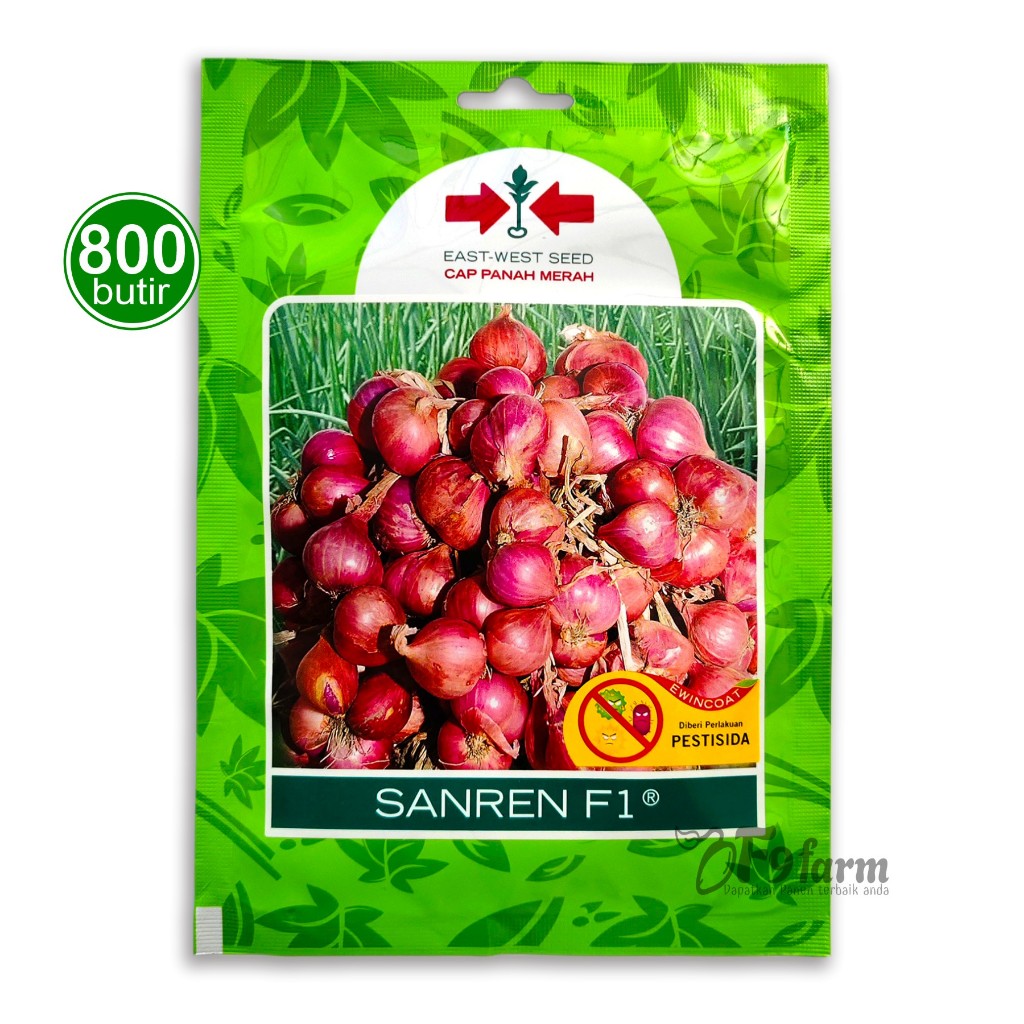 Jual Benih Bawang Merah Sanren F1 800 Butir Cap Panah Merah | Shopee ...